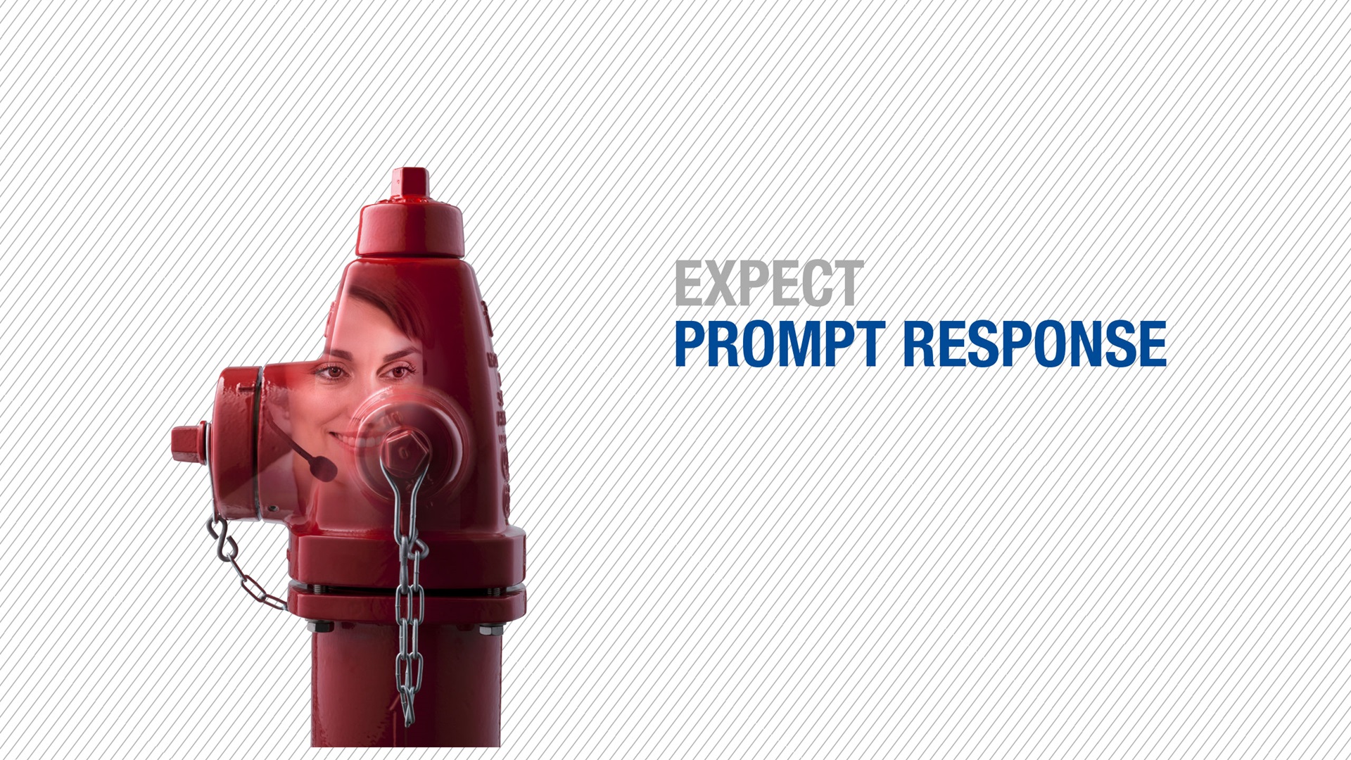 Expect a prompt response from the whole organisation - AVK International