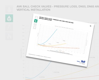 Ball check valves | What is a ball check valve - AVK International